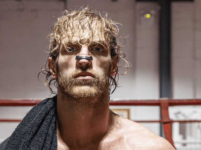 Logan Paul Hits Back At Brendan Schaub’s Criticism Over The Dillon ...