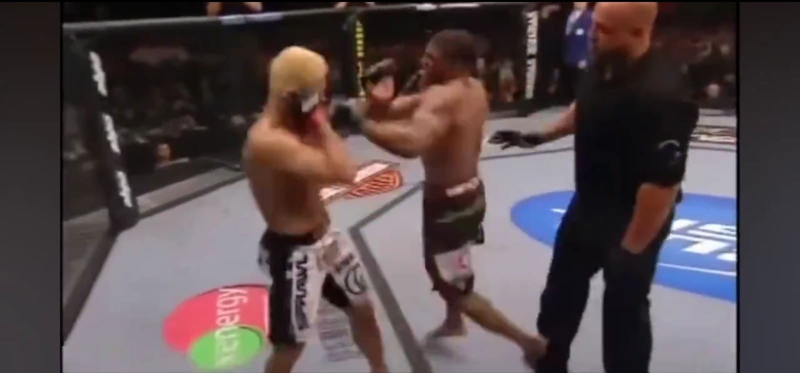 Five Worst Fouls in UFC History